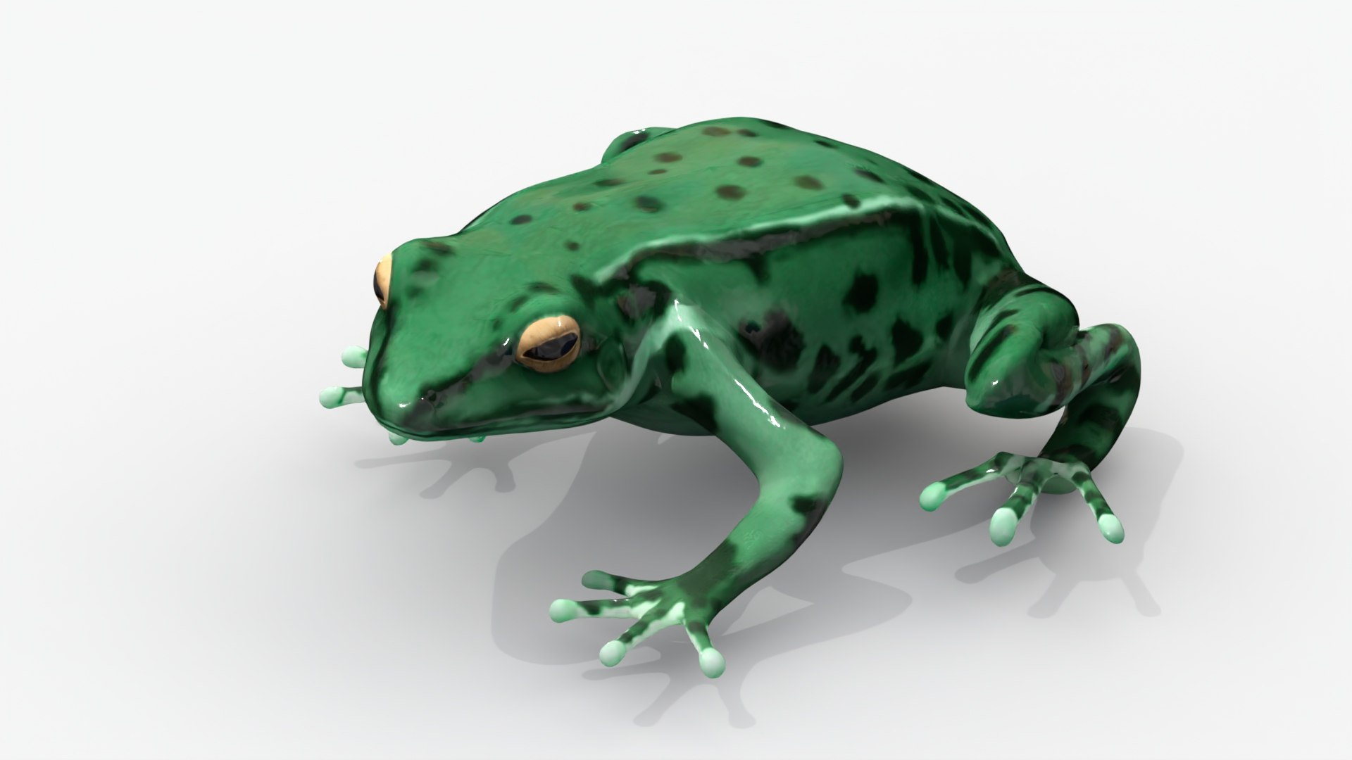 Low Poly Frog Model - TurboSquid 1987598