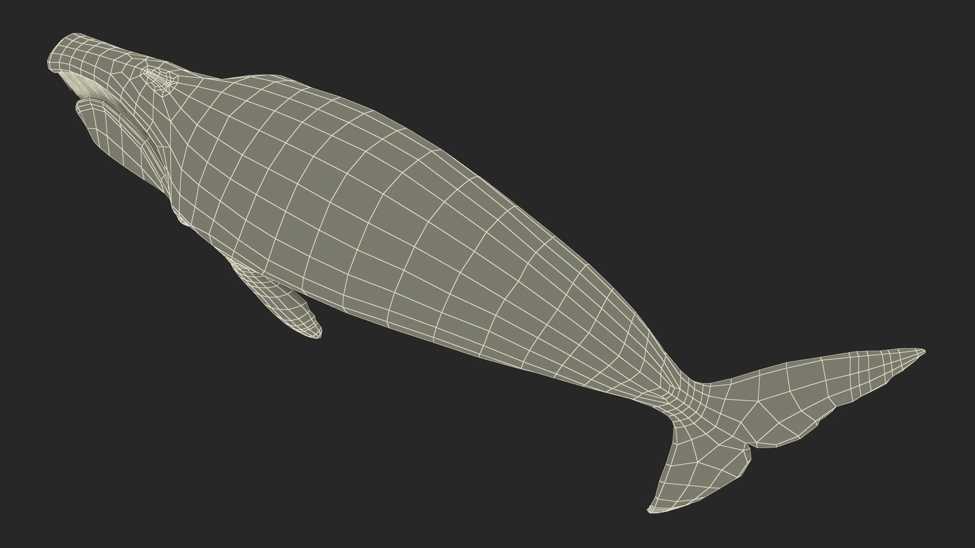 Resting Bowhead Whale 3D - TurboSquid 2116302