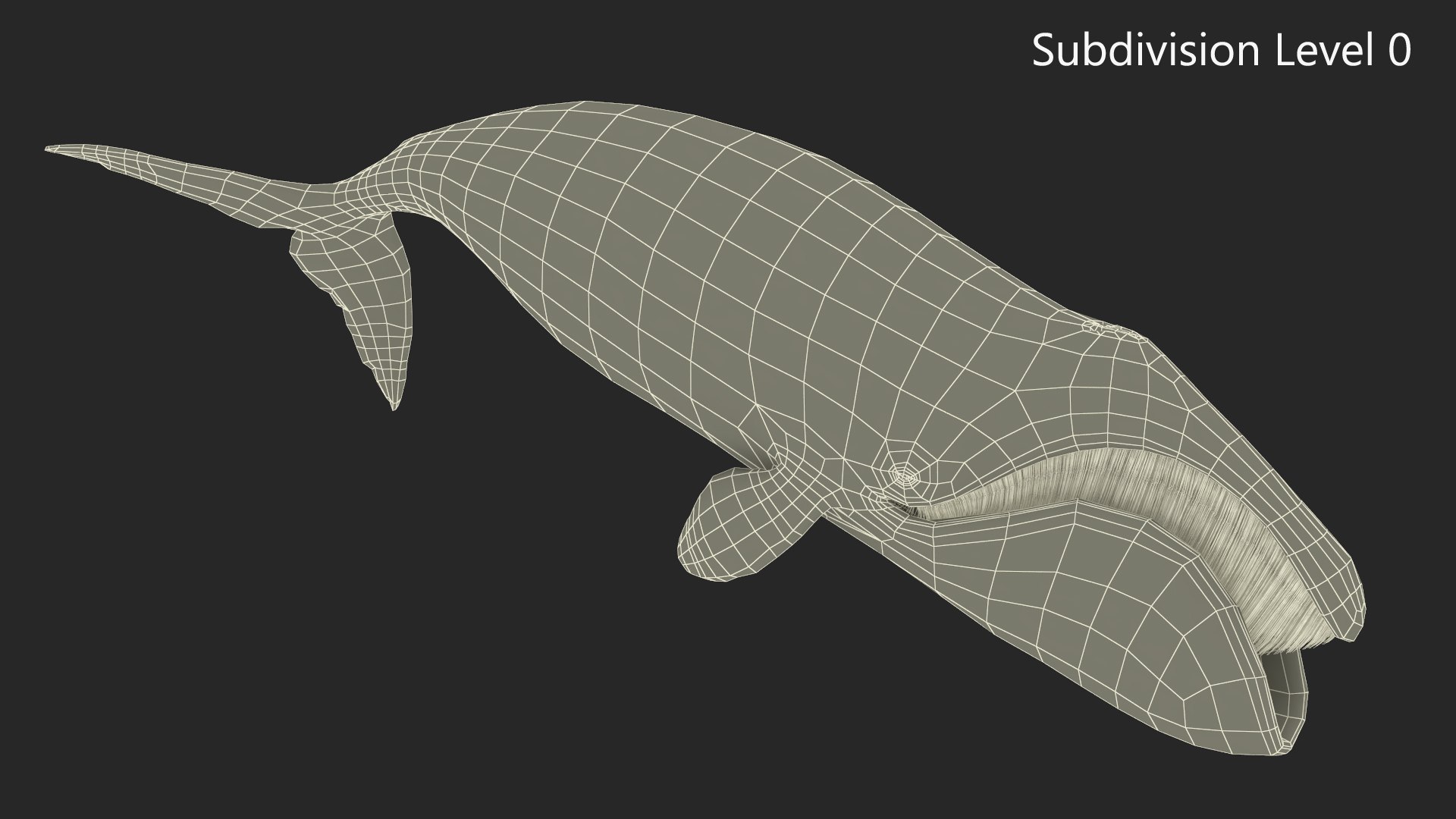 Resting Bowhead Whale 3D - TurboSquid 2116302