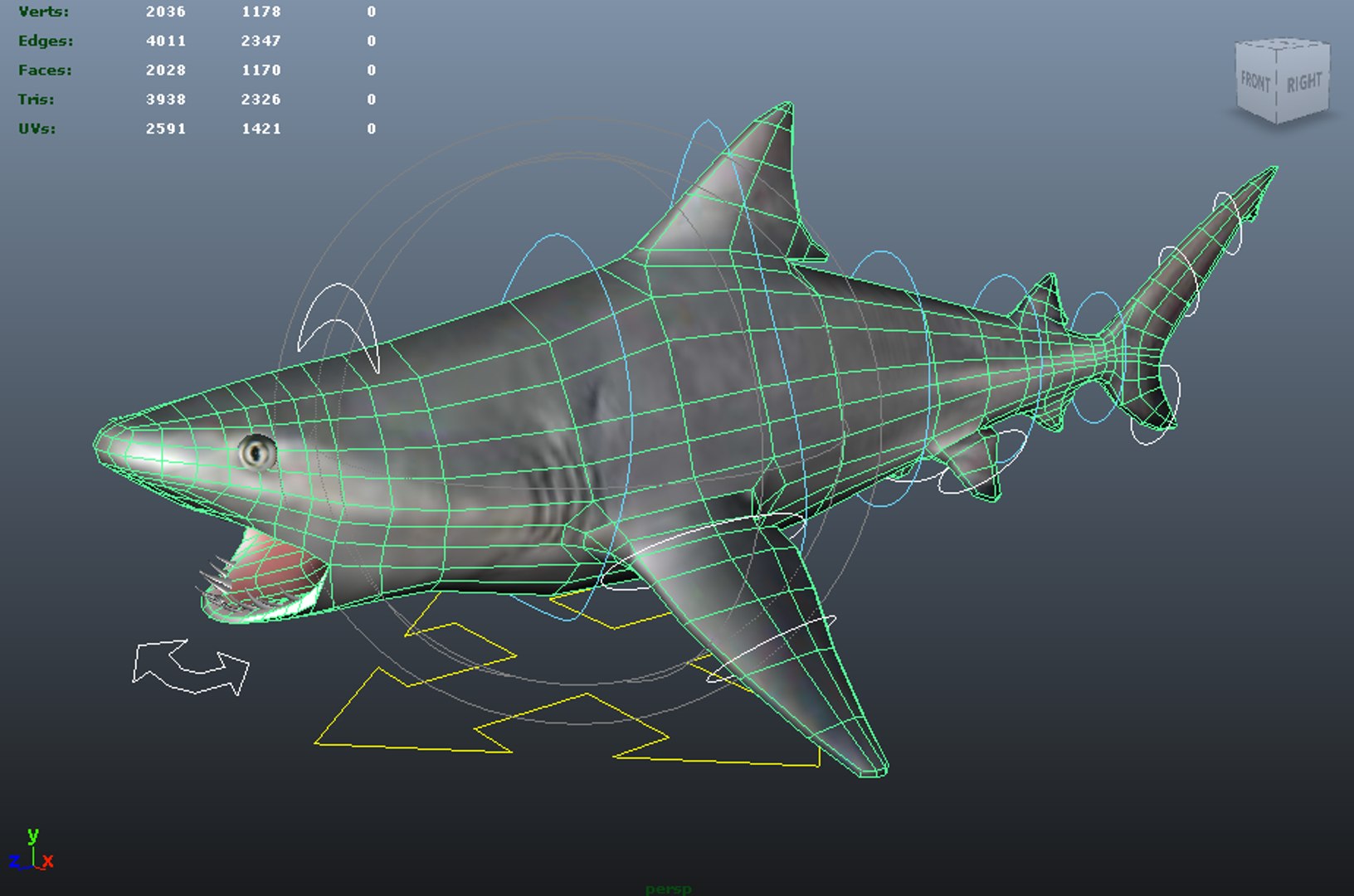 3d bull shark