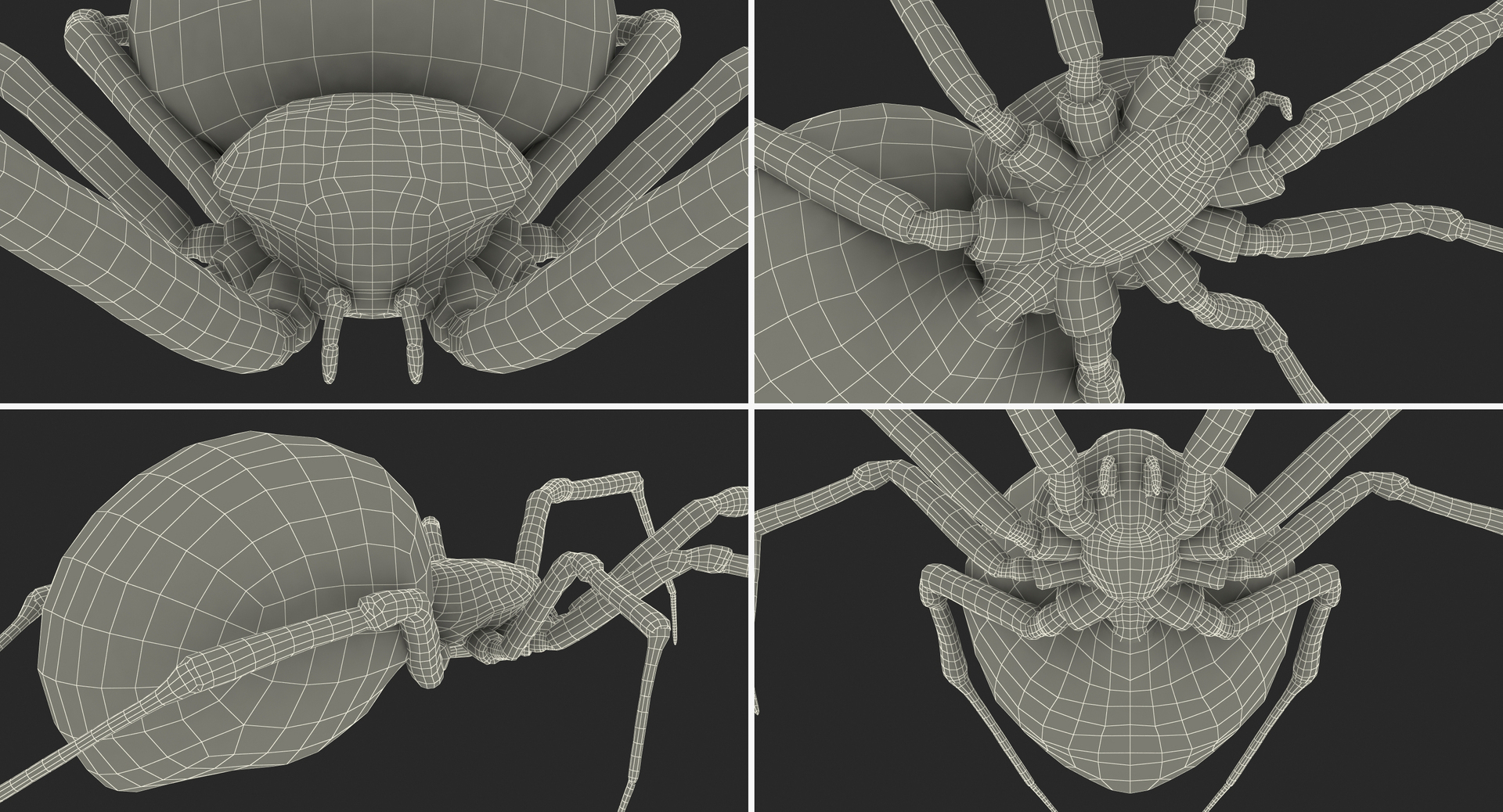 Black widow spider rigged 3D model - TurboSquid 1166878