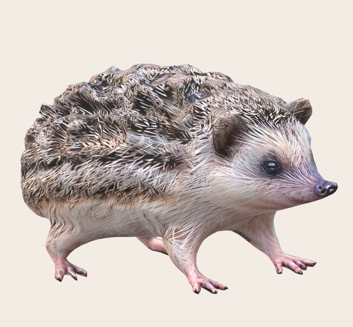 Hedgehog 3D Model - TurboSquid 2209980