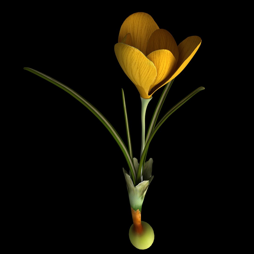 3D Model Flowers Open Animation - TurboSquid 1588213