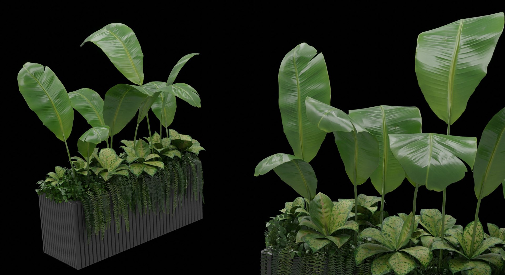 Indoor Plant Box 3D Model - TurboSquid 2221729