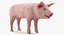 3D Farm Animals Big Collection 4 - TurboSquid 2490388