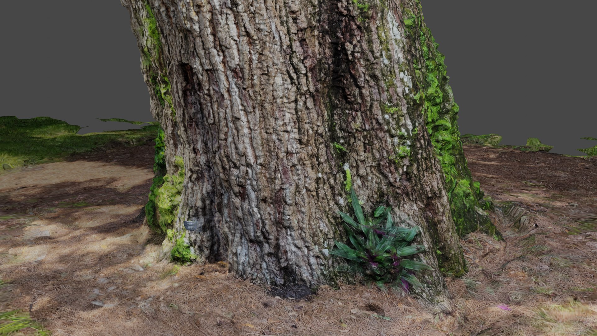 3D model Mossy Tree Trunk - TurboSquid 2138154