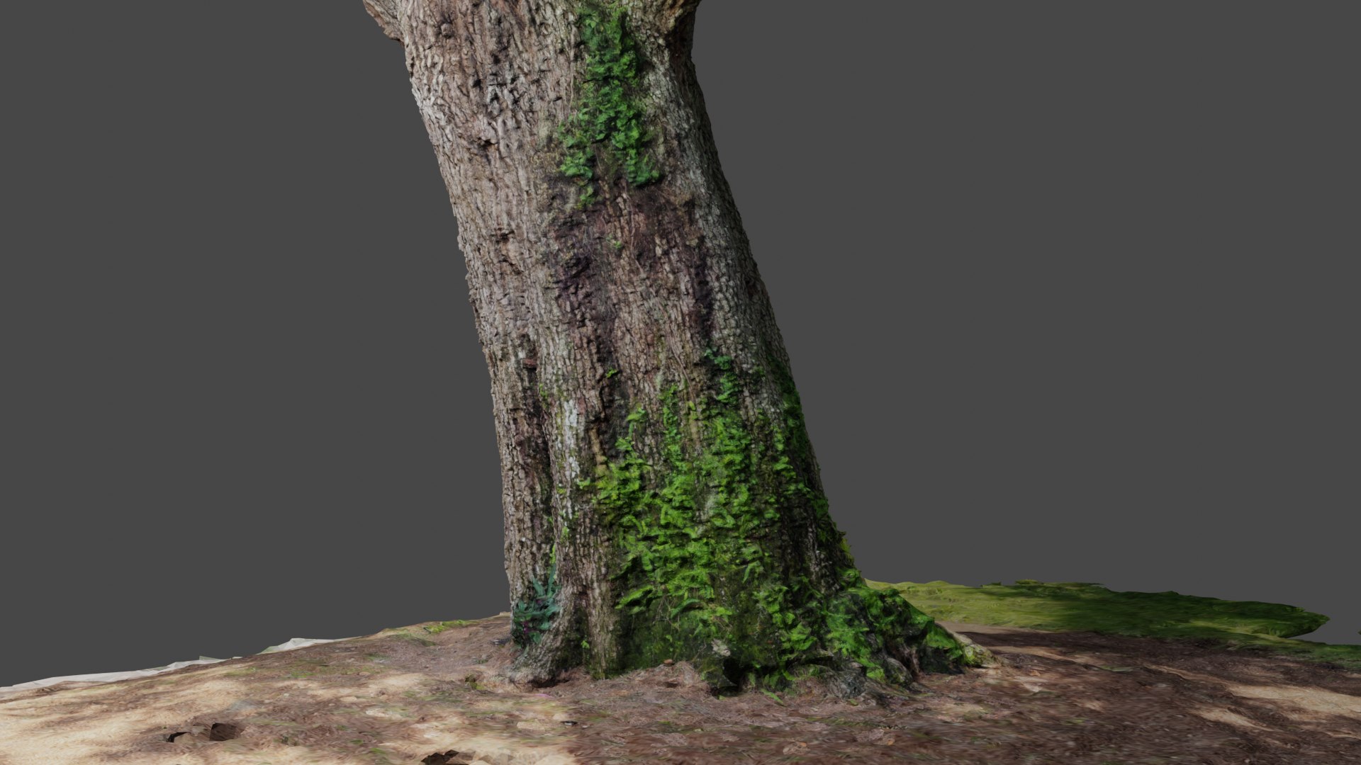 3D model Mossy Tree Trunk - TurboSquid 2138154