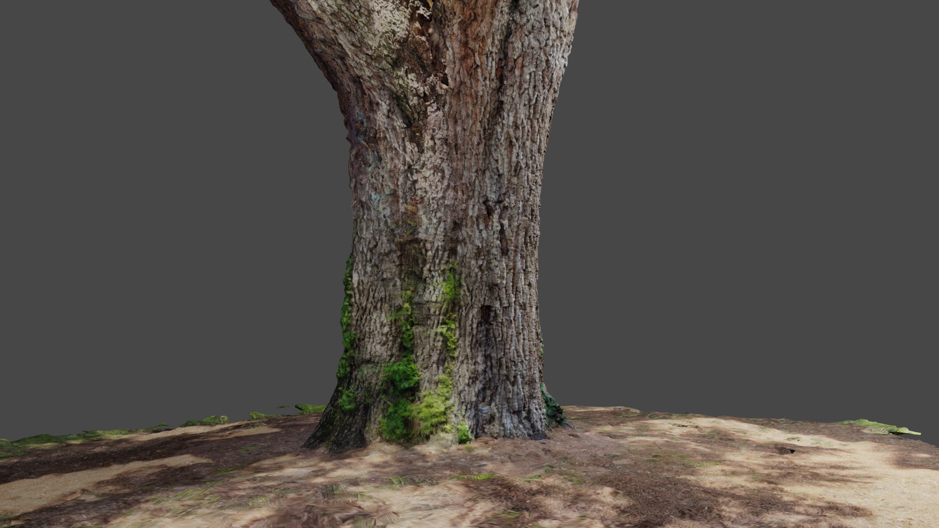 3D model Mossy Tree Trunk - TurboSquid 2138154