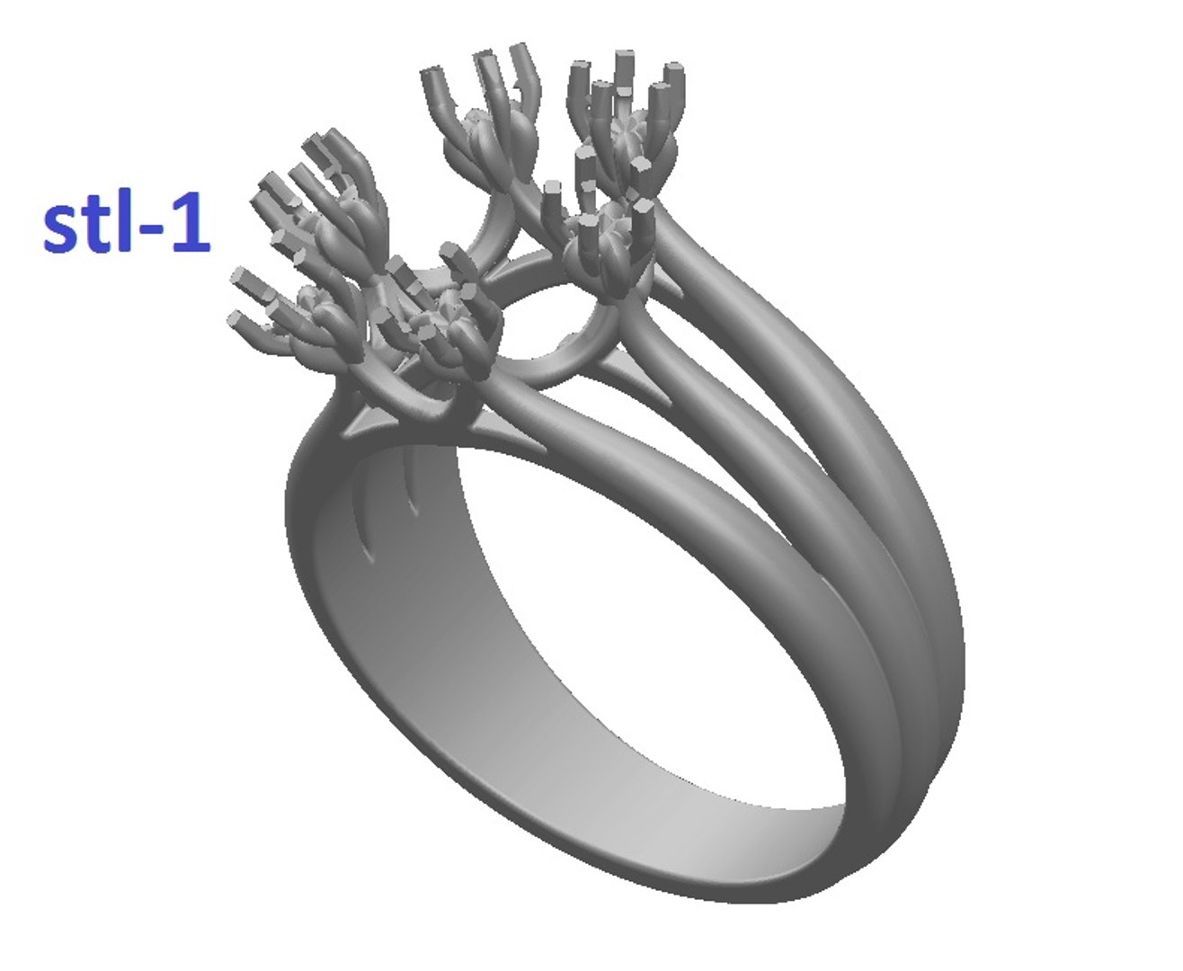 Ring 3d Model