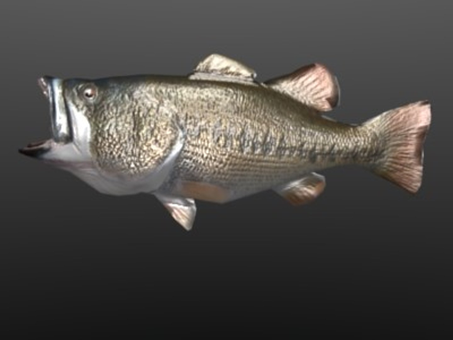 3ds Max Bass Fish