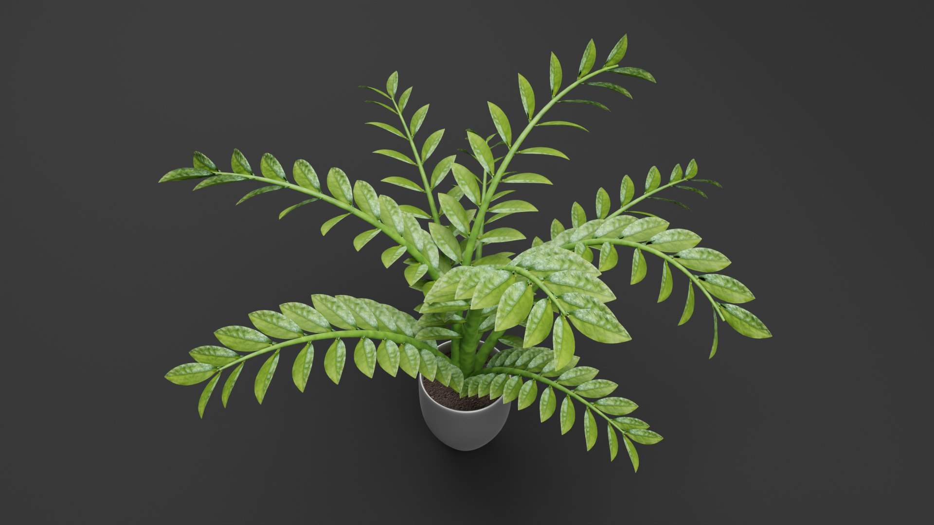 3D model ZZ PLant - TurboSquid 2066176