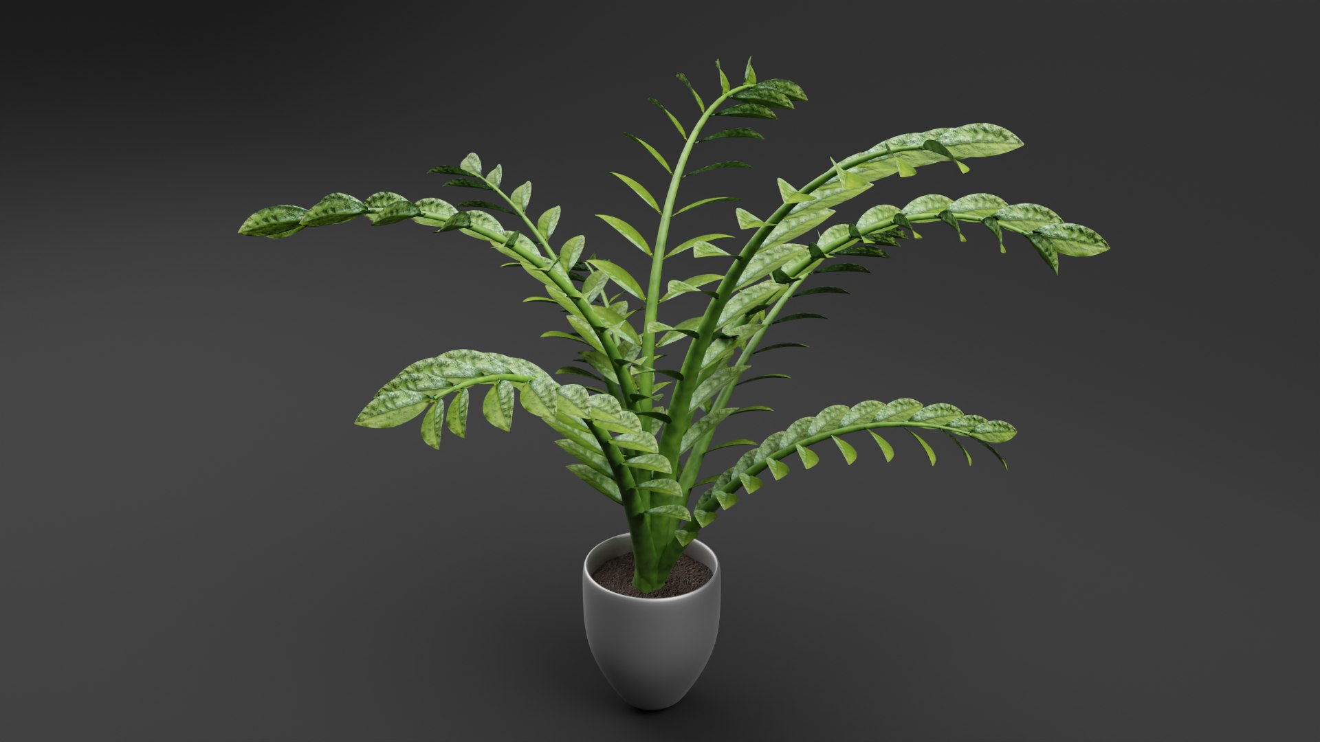 3D model ZZ PLant - TurboSquid 2066176