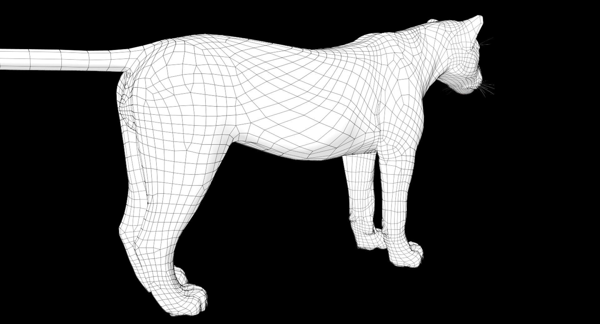 3D model vary tiger fur - TurboSquid 1431848