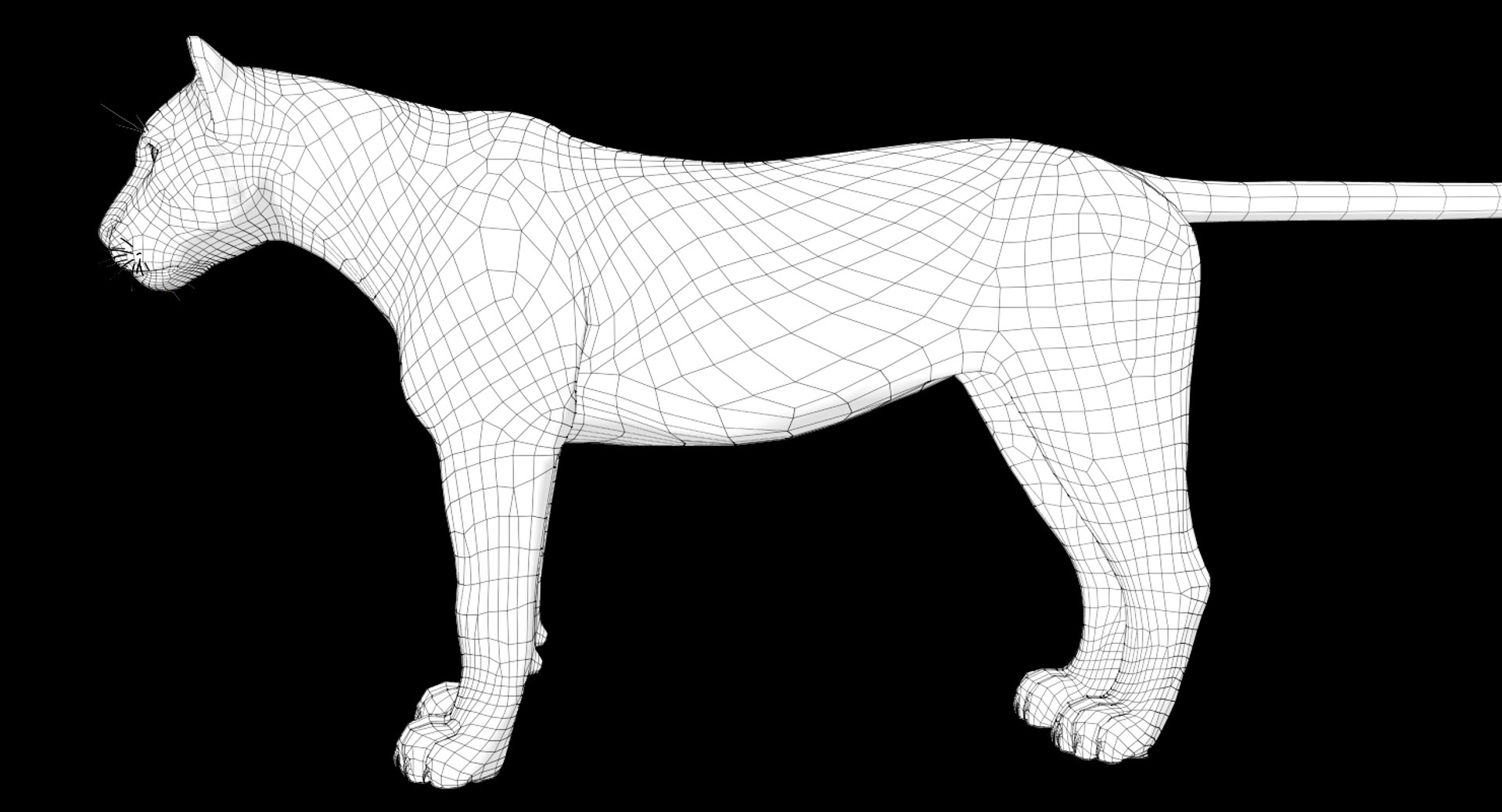 3D Model Vary Tiger Fur - TurboSquid 1431848