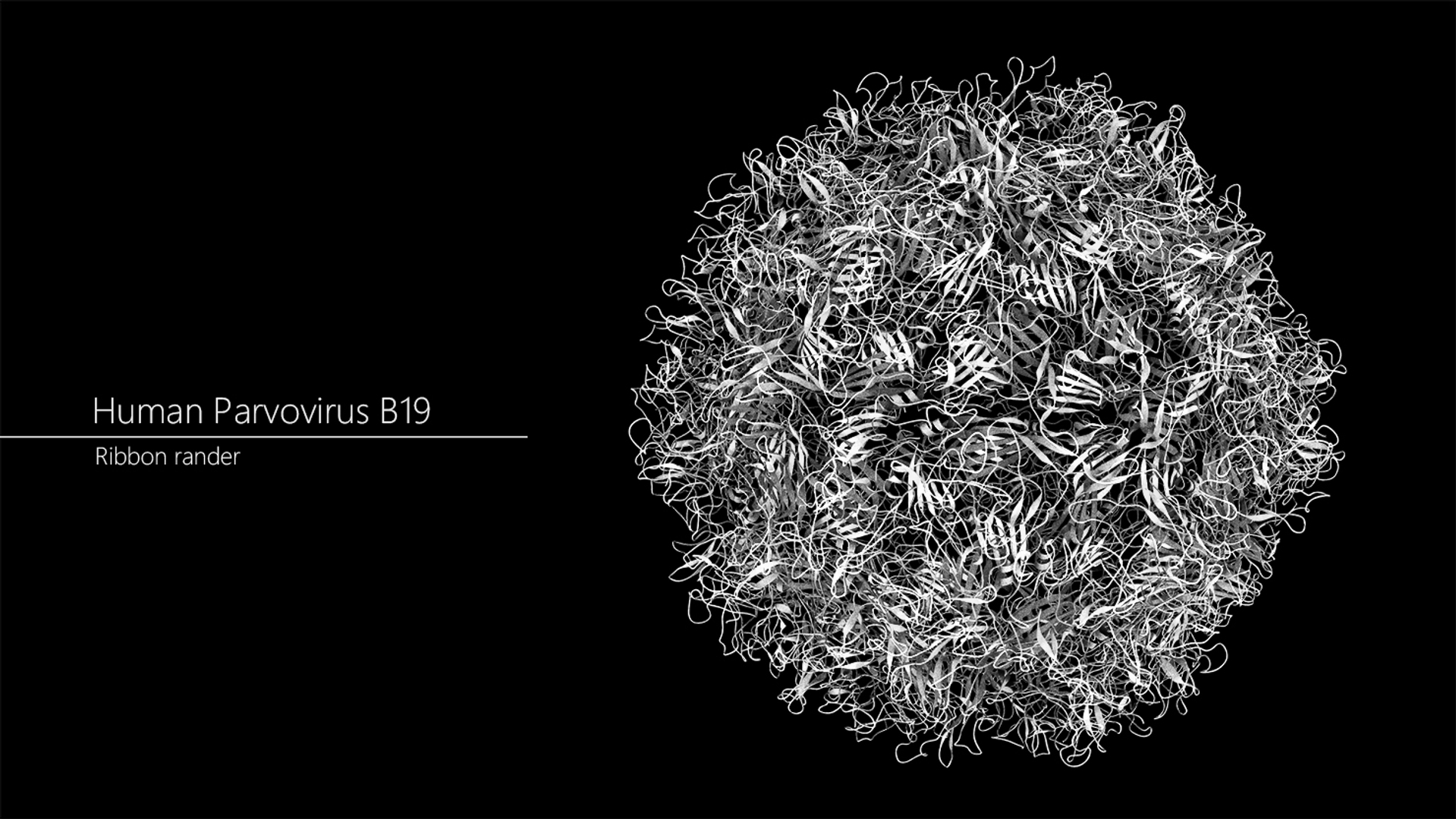 Human parvovirus b19 capsid 3D model - TurboSquid 1361093