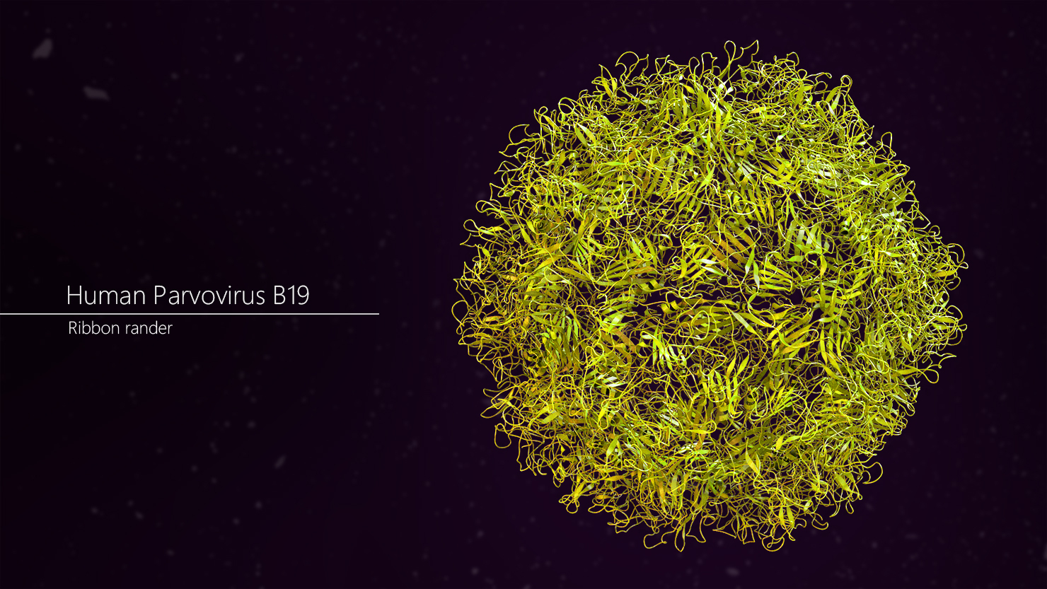 Human parvovirus b19 capsid 3D model - TurboSquid 1361093