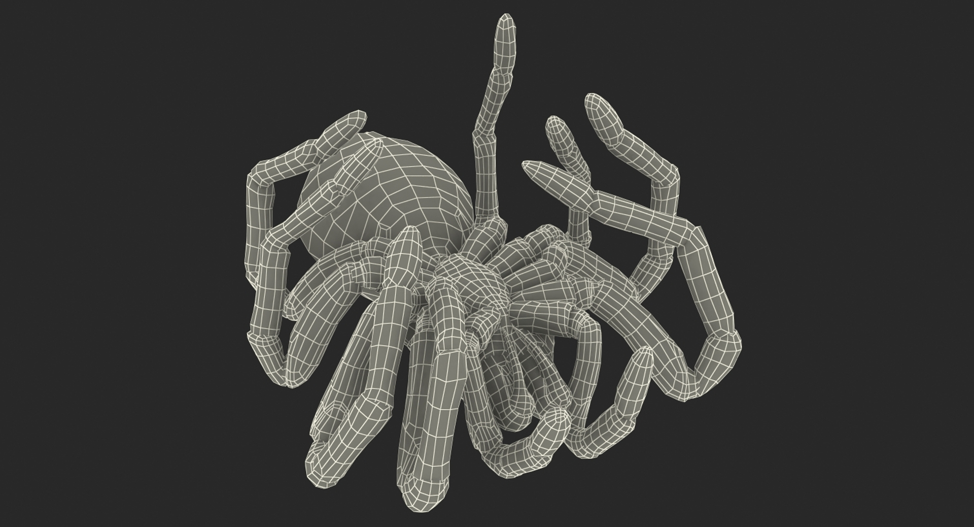 Dead Spiders 3D Model - TurboSquid 1543900