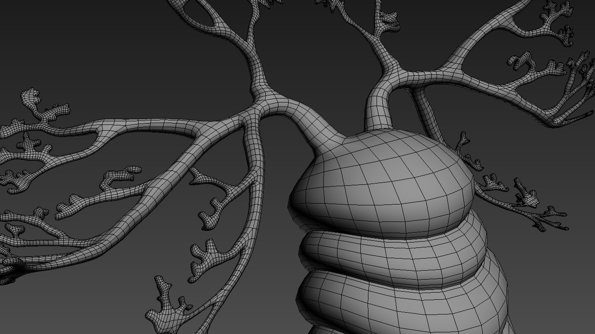 Herpetogaster Collinsi Model - TurboSquid 1578977