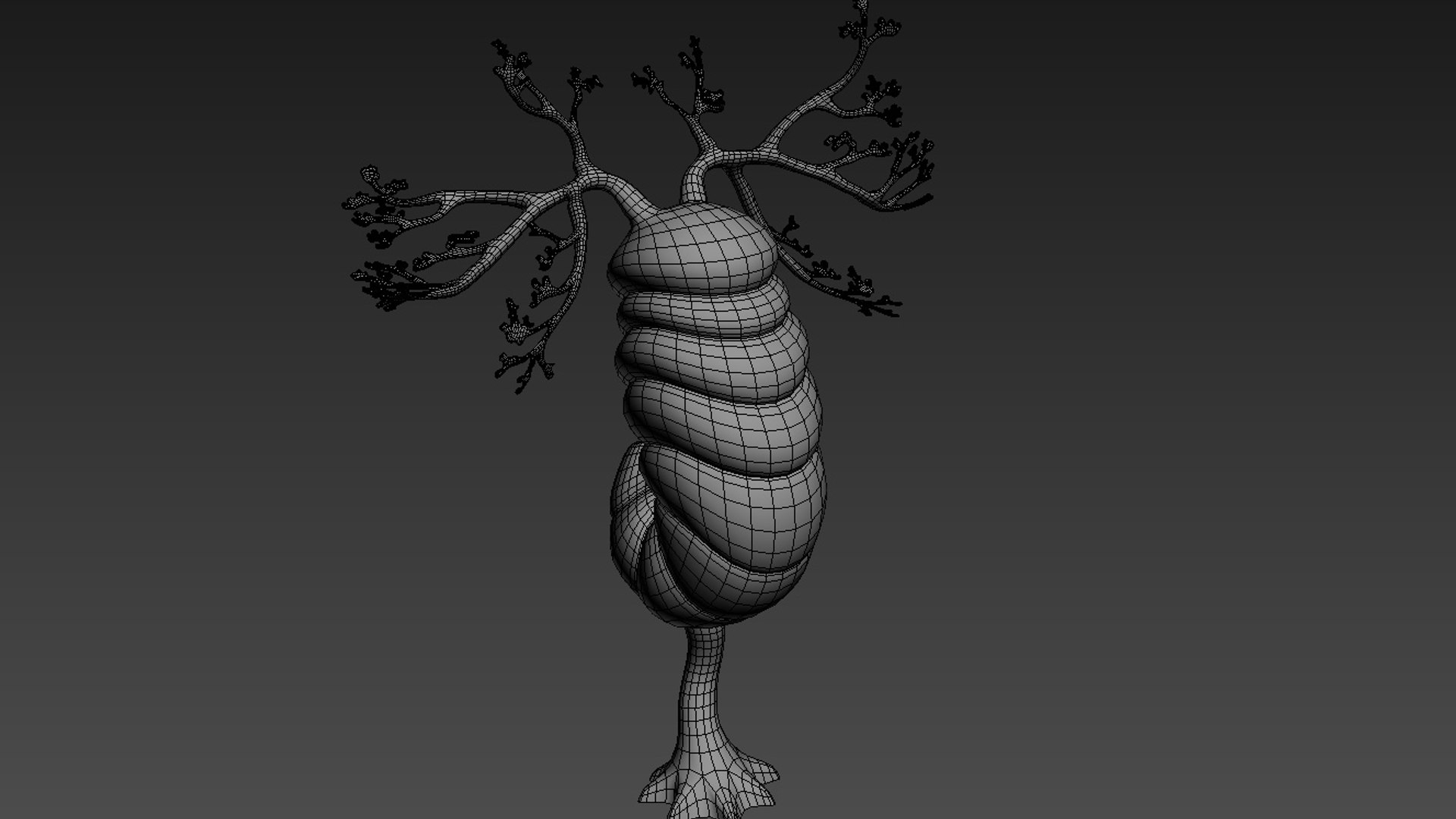 Herpetogaster Collinsi Model - TurboSquid 1578977