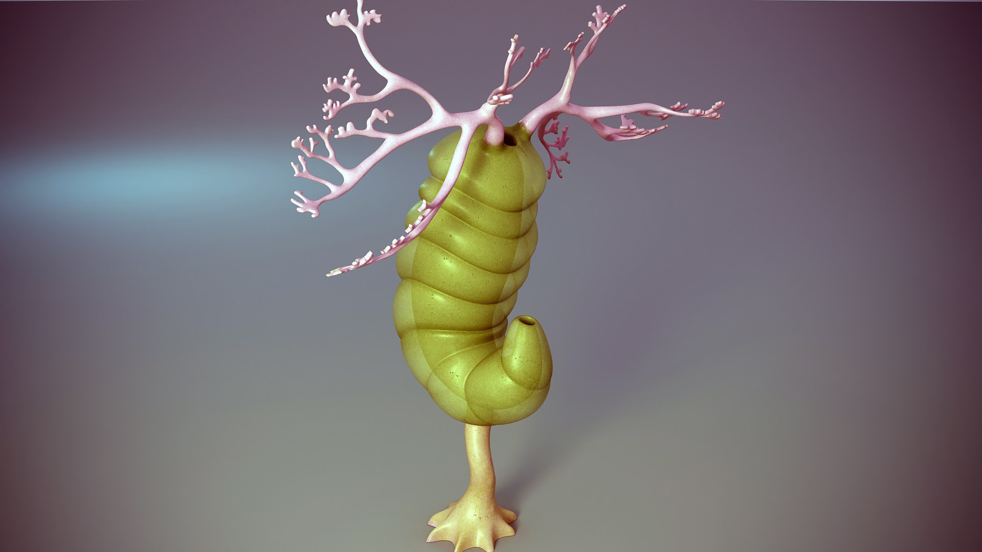 Herpetogaster Collinsi Model - TurboSquid 1578977