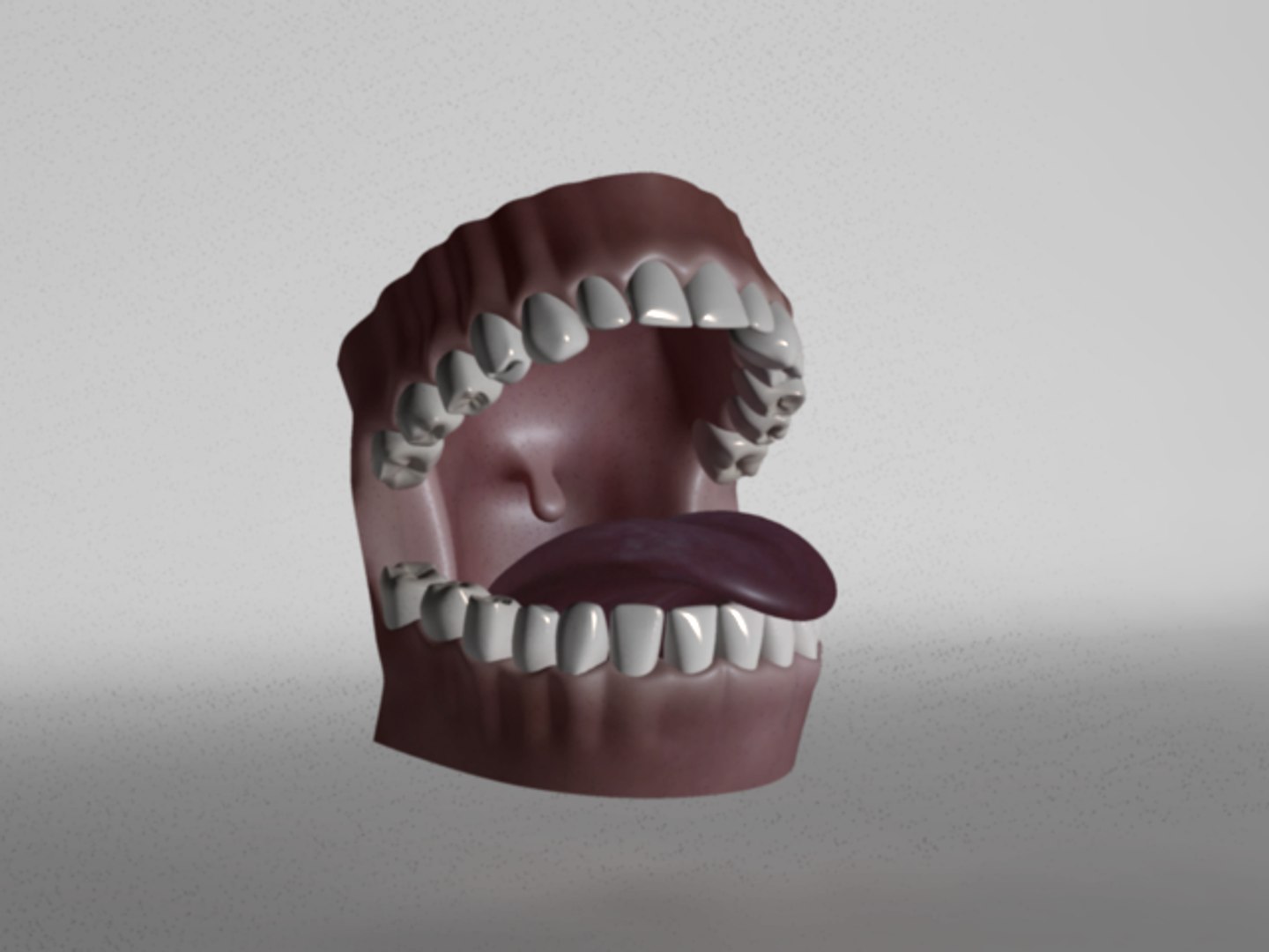 3d Mouth Gums Tongue Model