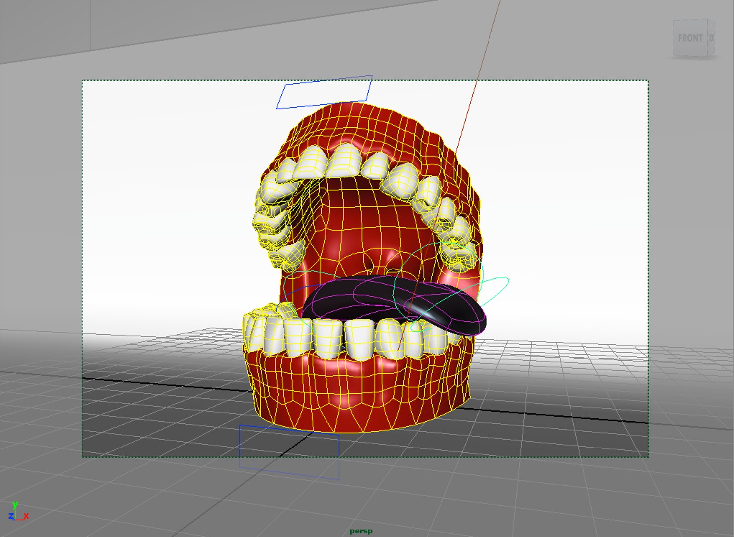 3d Mouth Gums Tongue Model