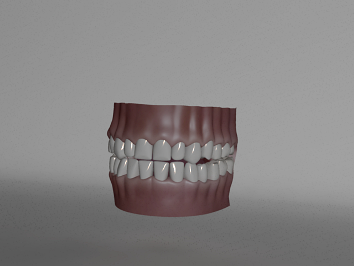 3d Mouth Gums Tongue Model