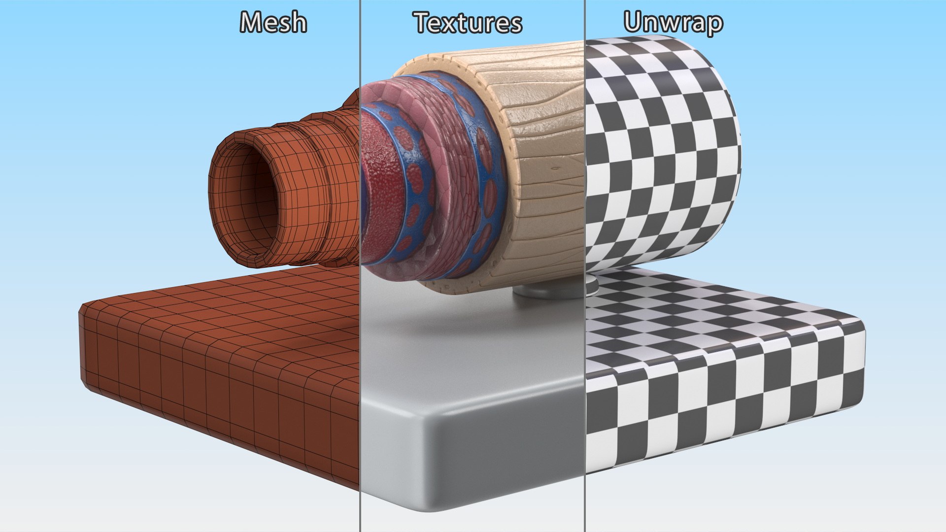 Model Of Artery In Cross Section 3D Model - TurboSquid 2389423