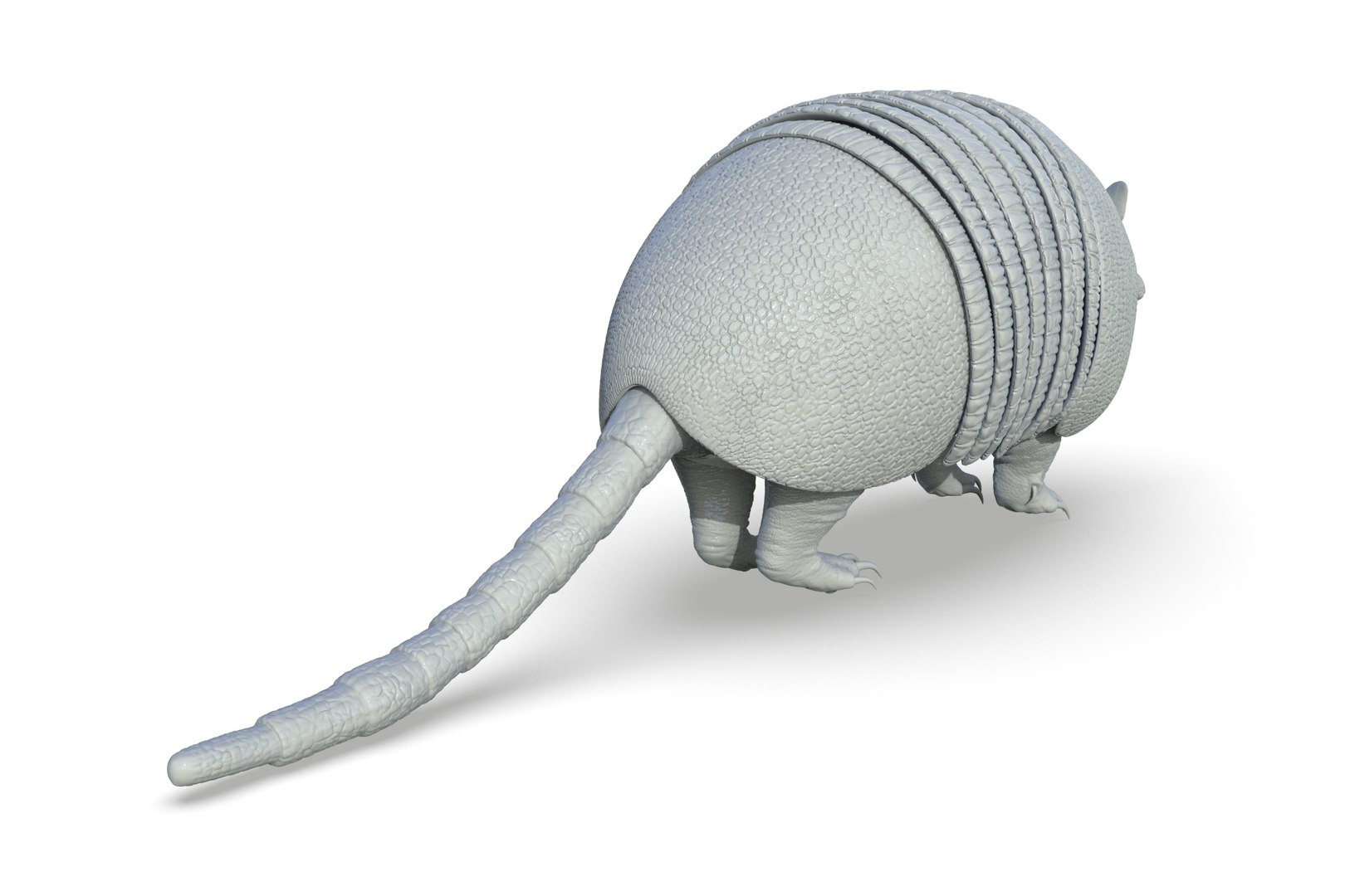 Armadillo 3D - TurboSquid 2205215
