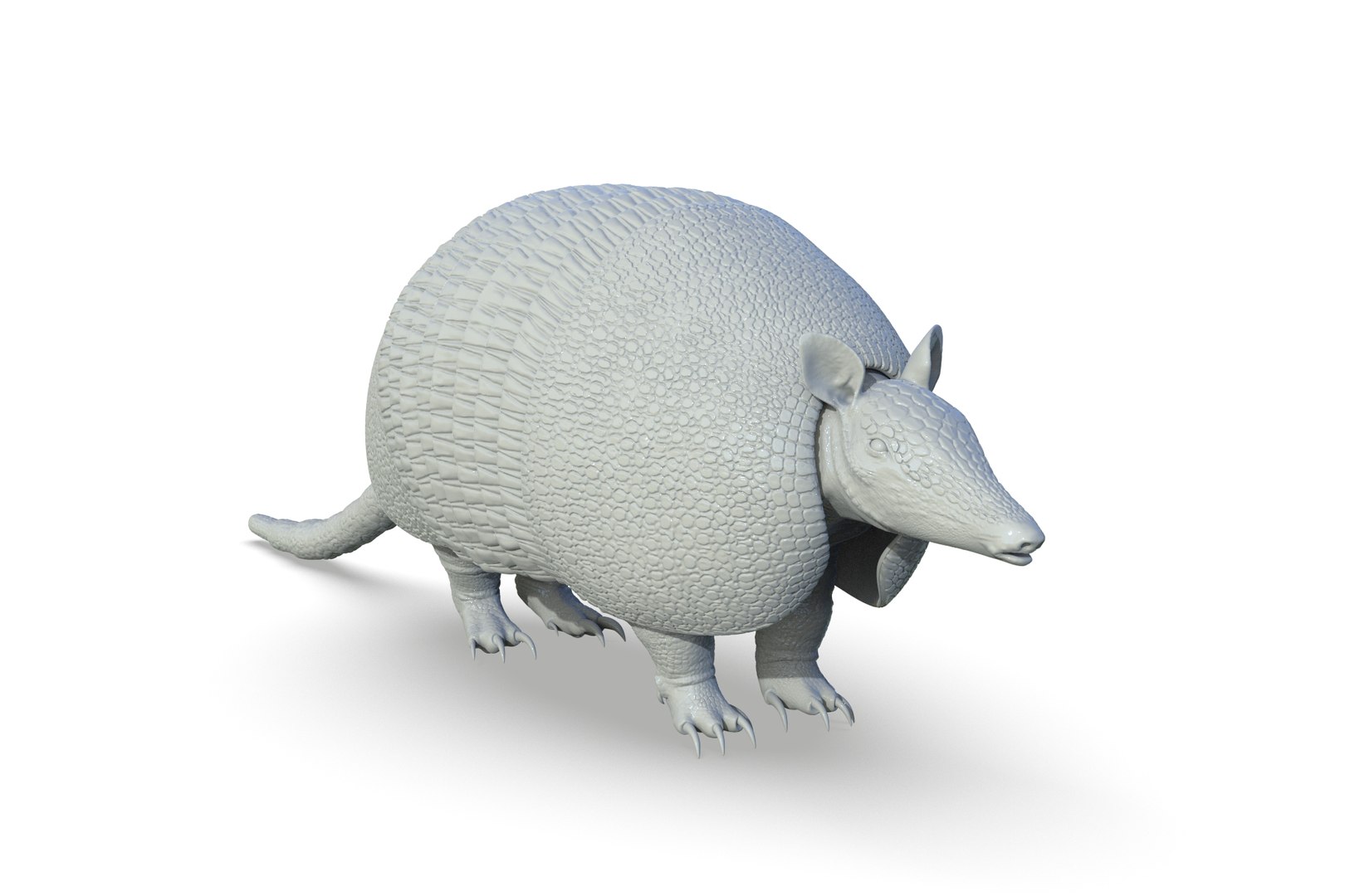 Armadillo 3D - TurboSquid 2205215