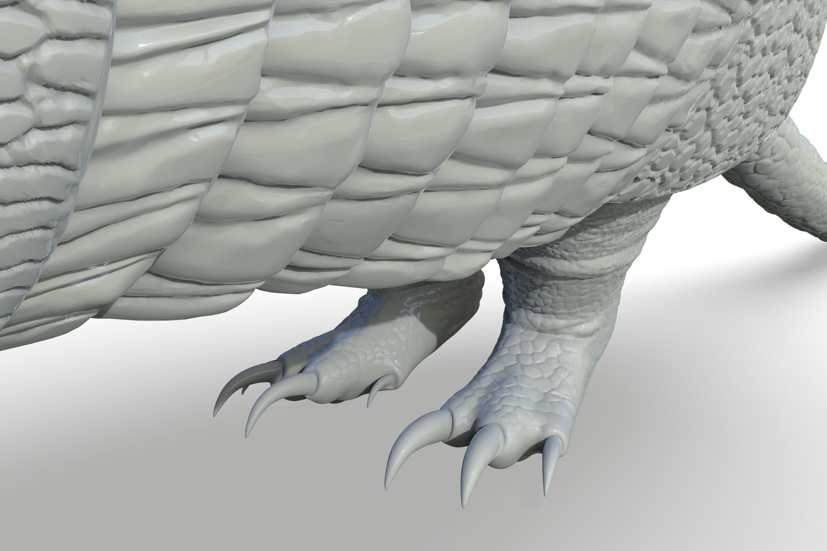 Armadillo 3D - TurboSquid 2205215