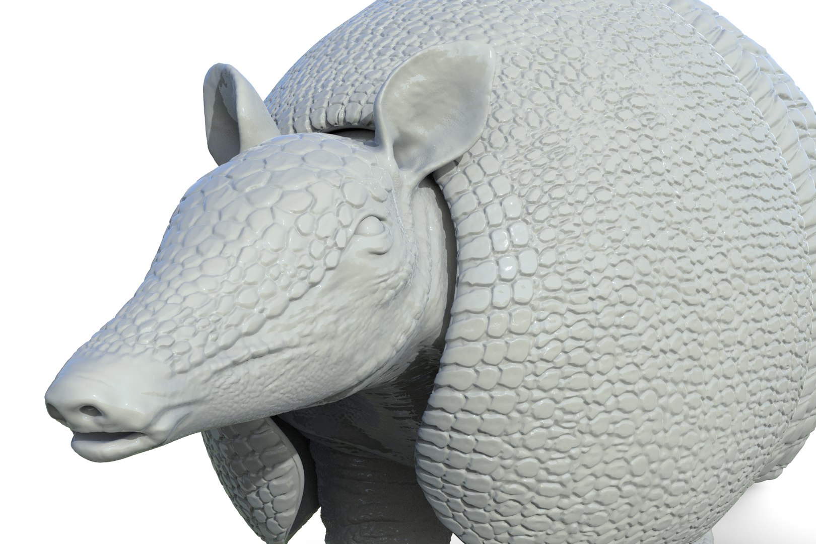 Armadillo 3D - TurboSquid 2205215