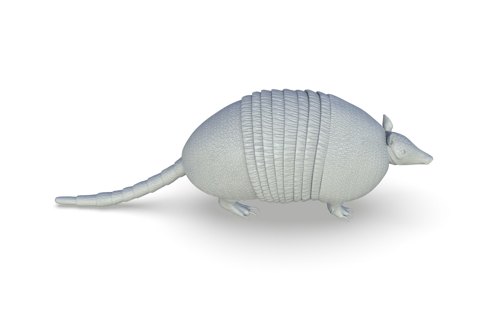 Armadillo 3D - TurboSquid 2205215