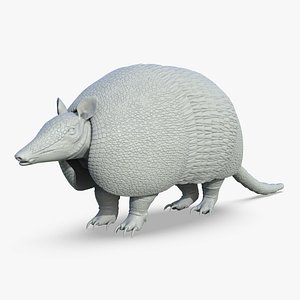 Armadillo 3D Models for Download | TurboSquid