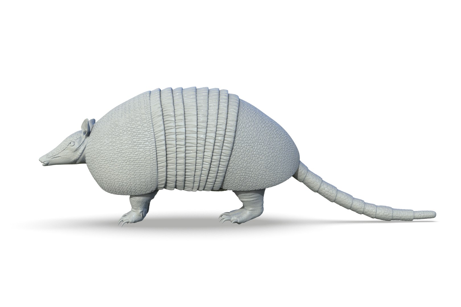 Armadillo 3D - TurboSquid 2205215