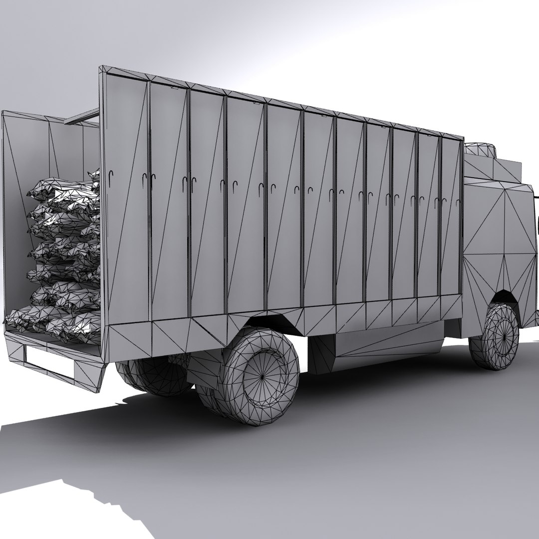 Local Indian Truck 3d Model