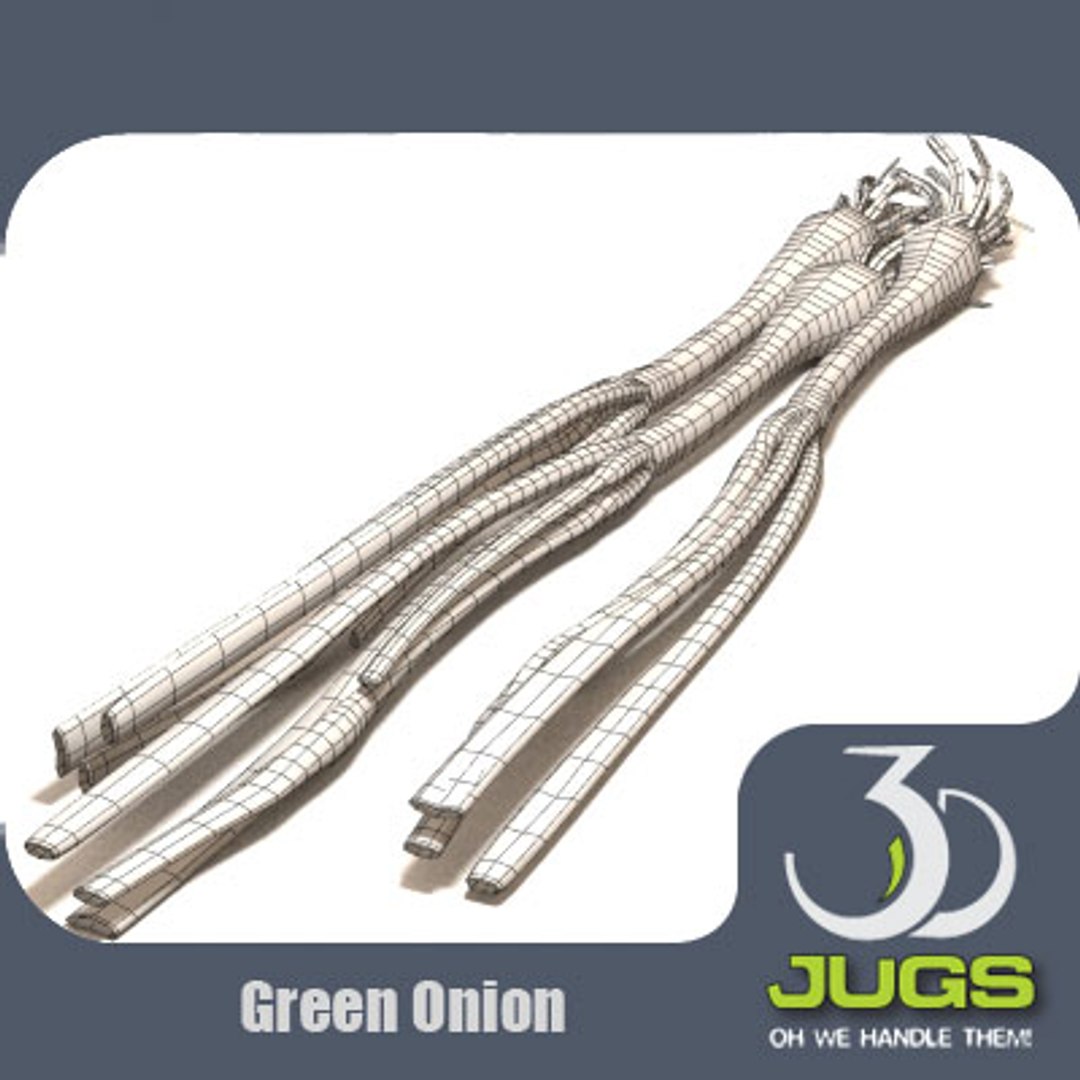 Spring Onion 3d Model