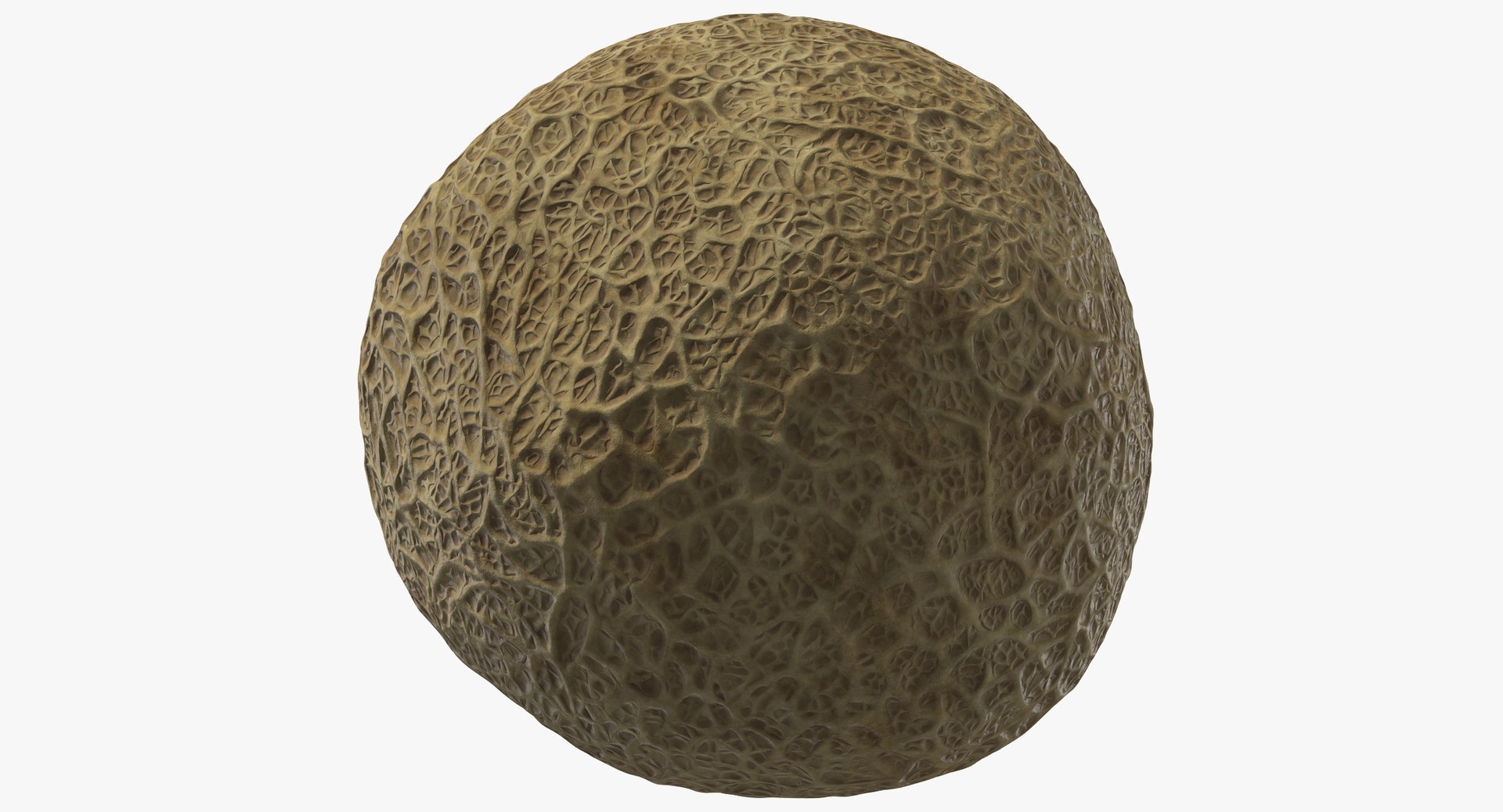 Fertilization Rigged 3D Model - TurboSquid 1394652