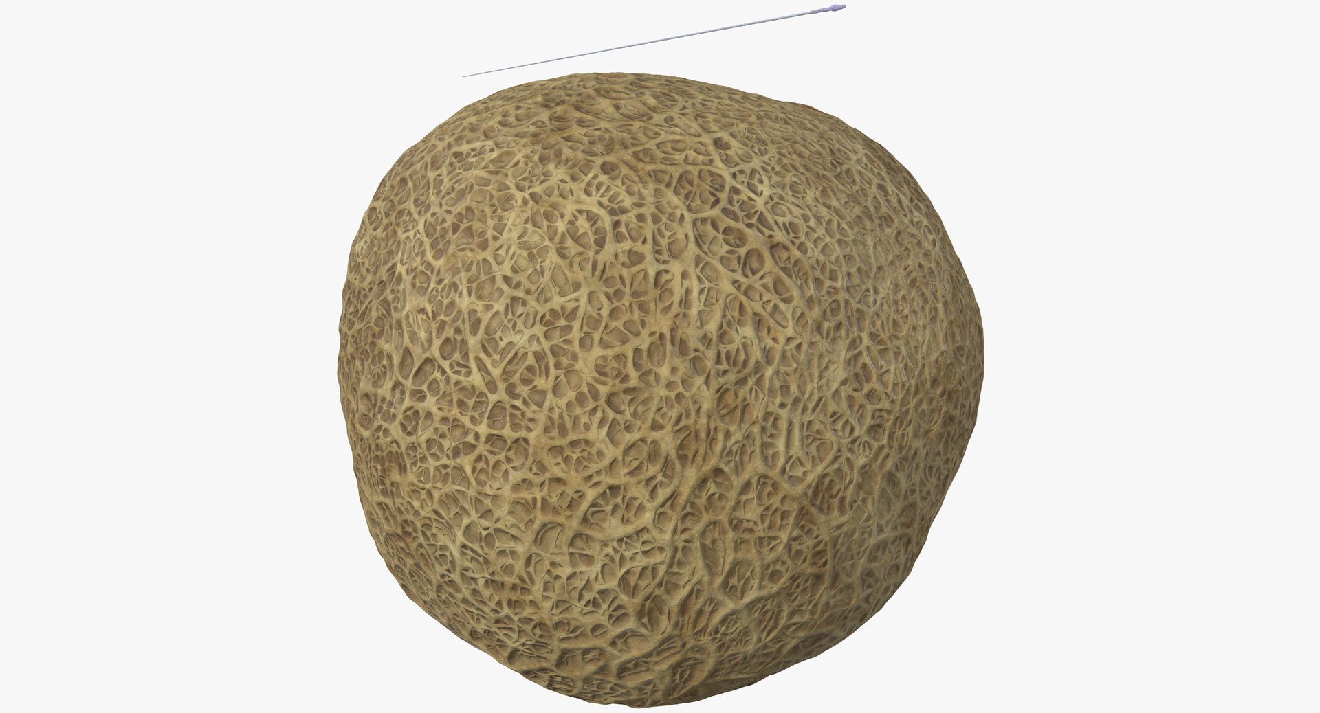 Fertilization Rigged 3D Model - TurboSquid 1394652