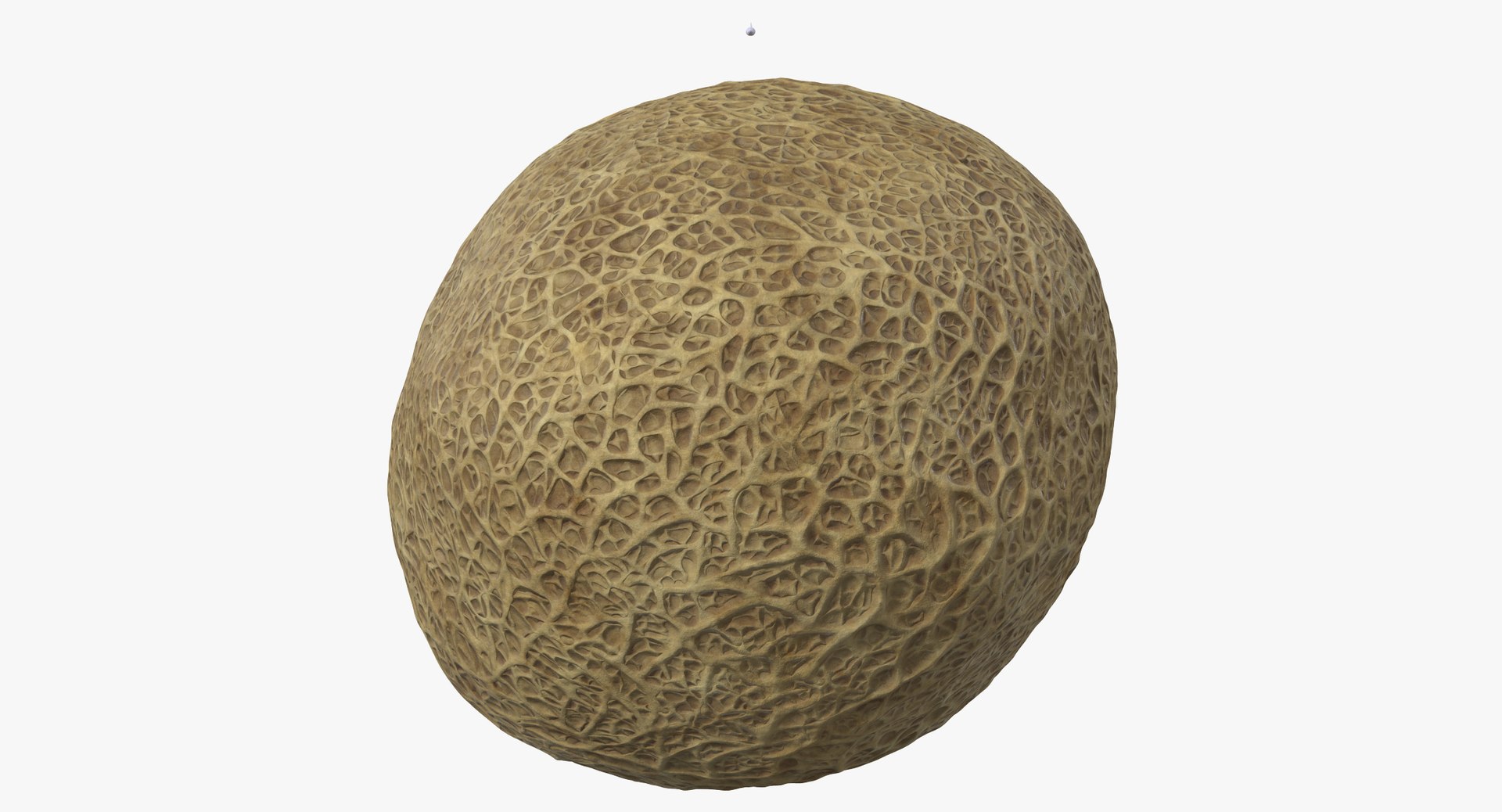 Fertilization Rigged 3D Model - TurboSquid 1394652