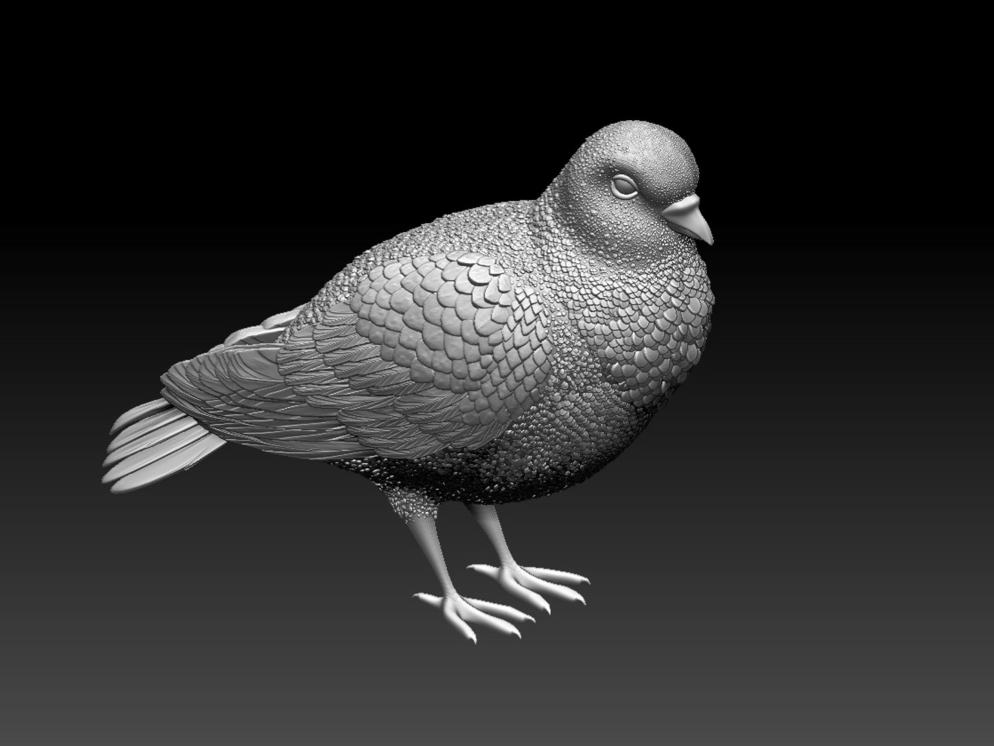 3D Dove - TurboSquid 1647488