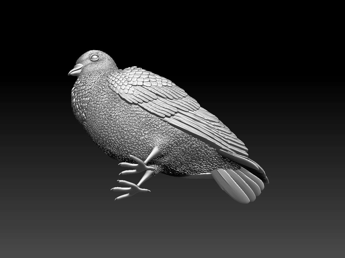 3D Dove - TurboSquid 1647488