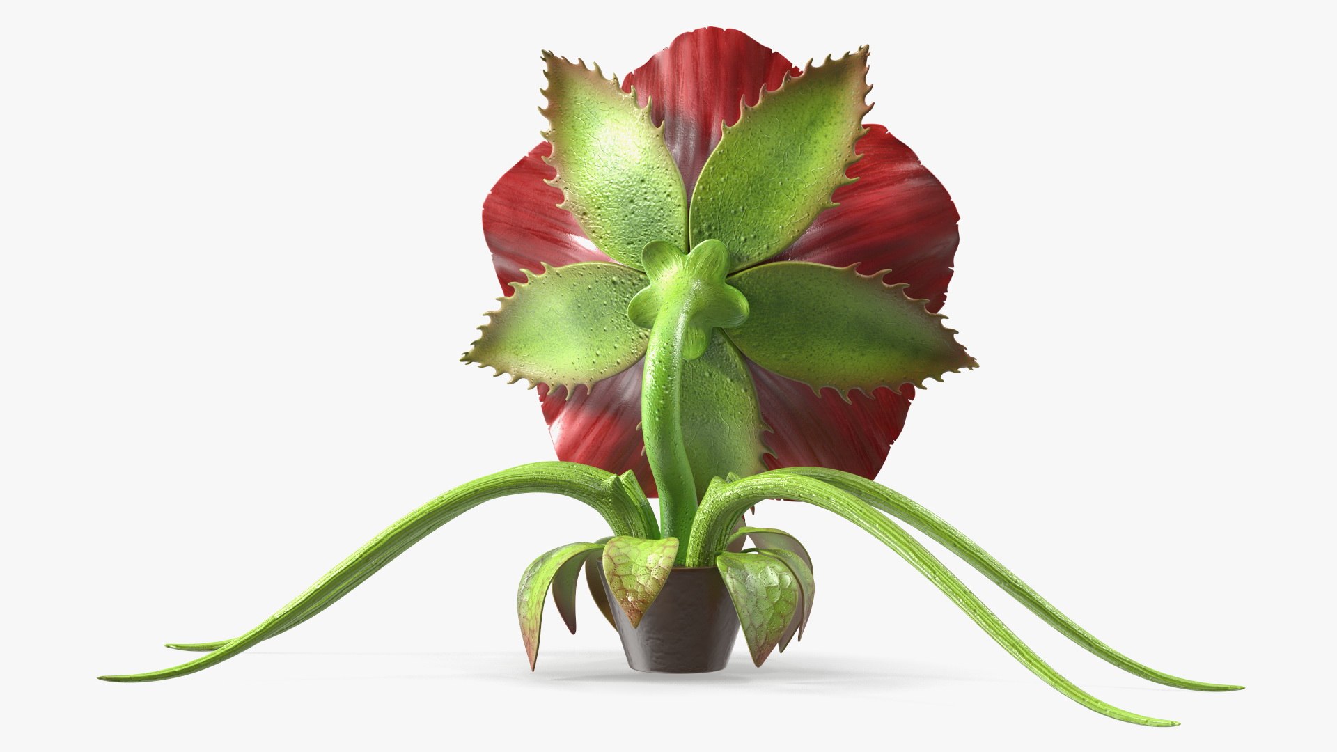 3D Halloween Monster Plant Rigged For Cinema 4D Model - TurboSquid 2052250