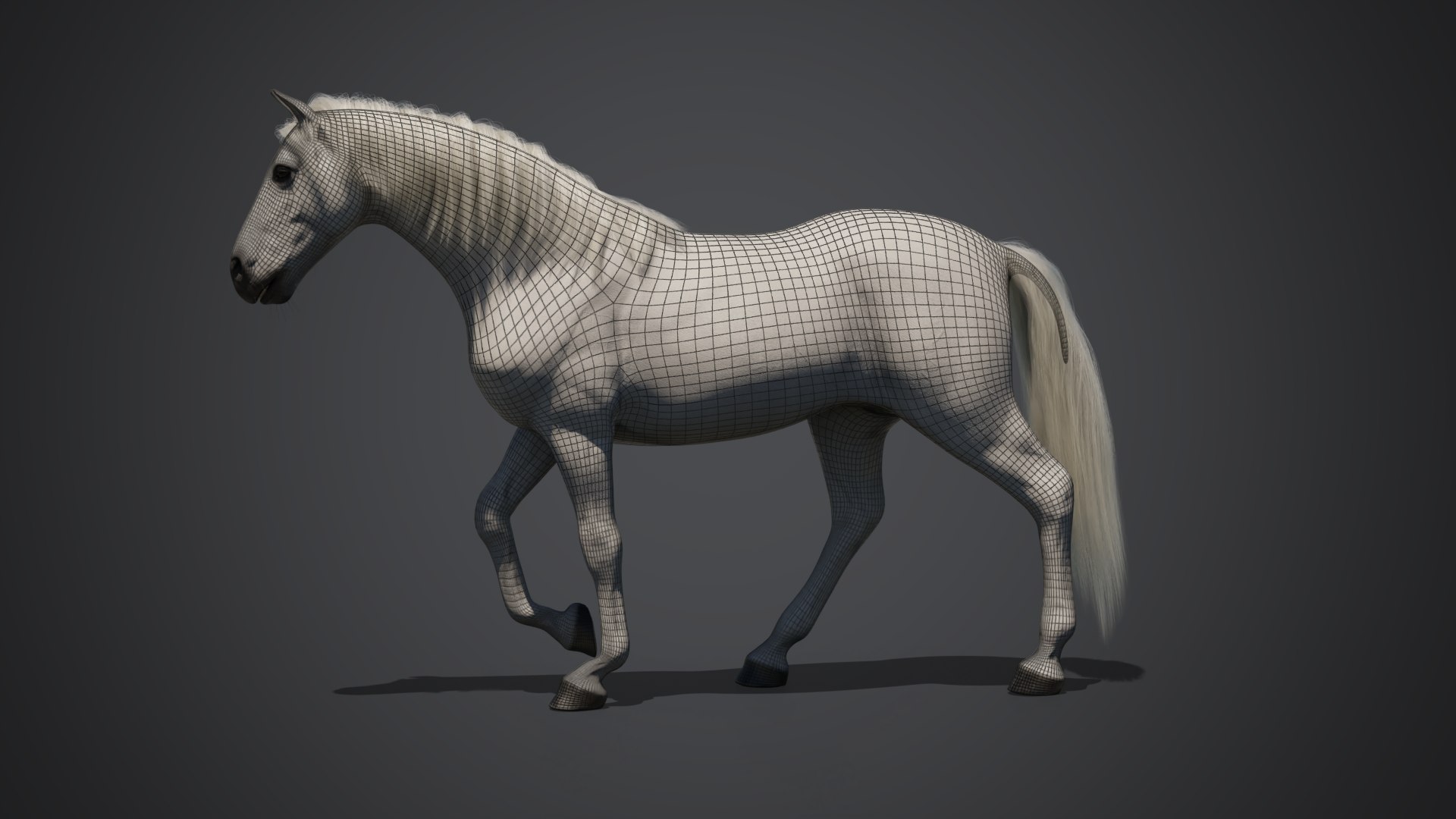 3D Model Horse Animated - TurboSquid 2221403
