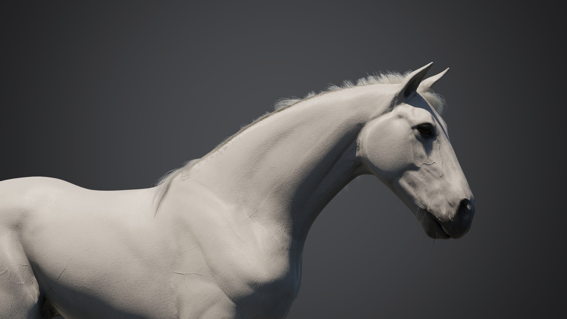 3D Model Horse Animated - TurboSquid 2221403