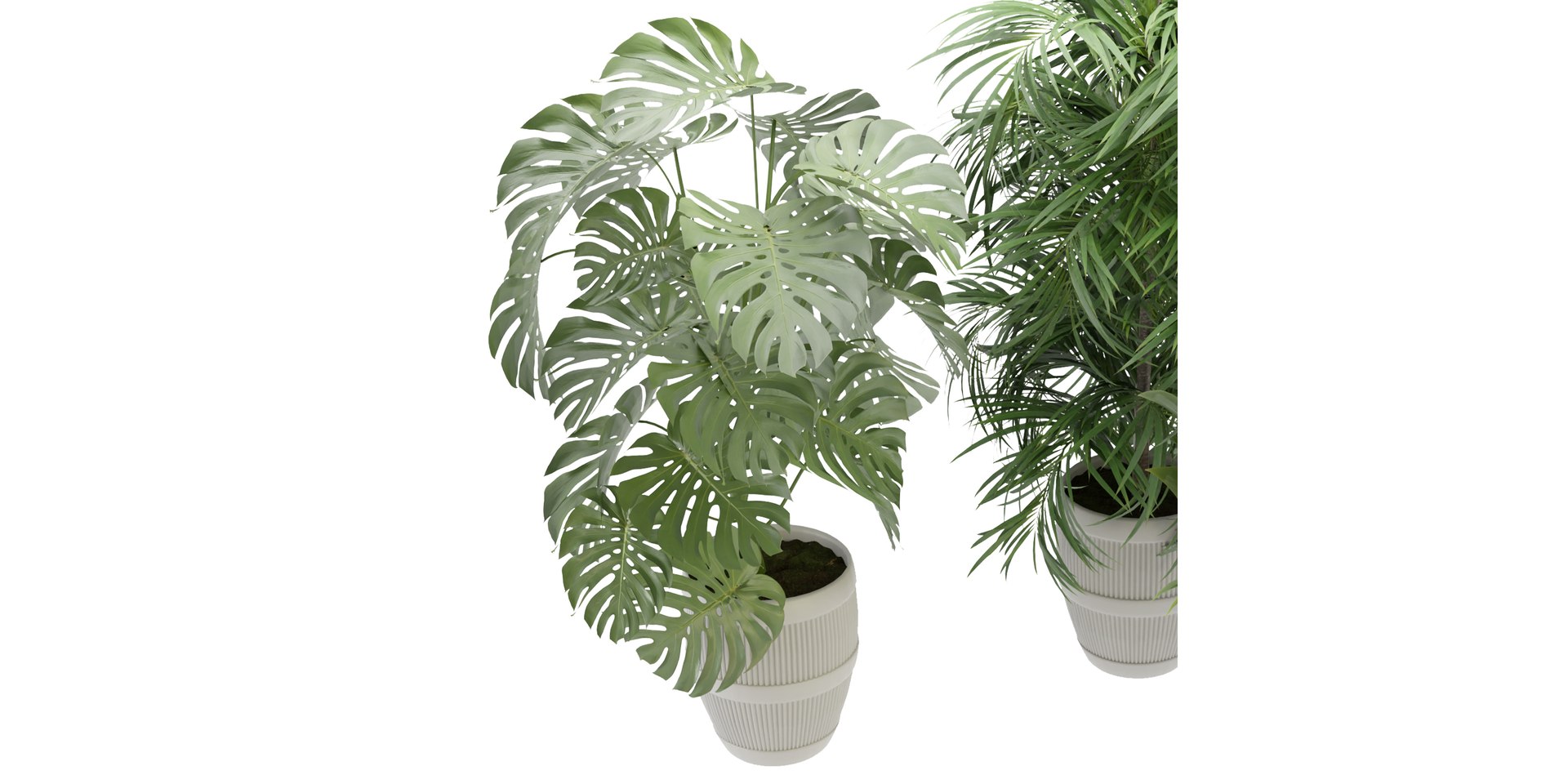 Collection plant vol 348 - blender model 3D - TurboSquid 2094277