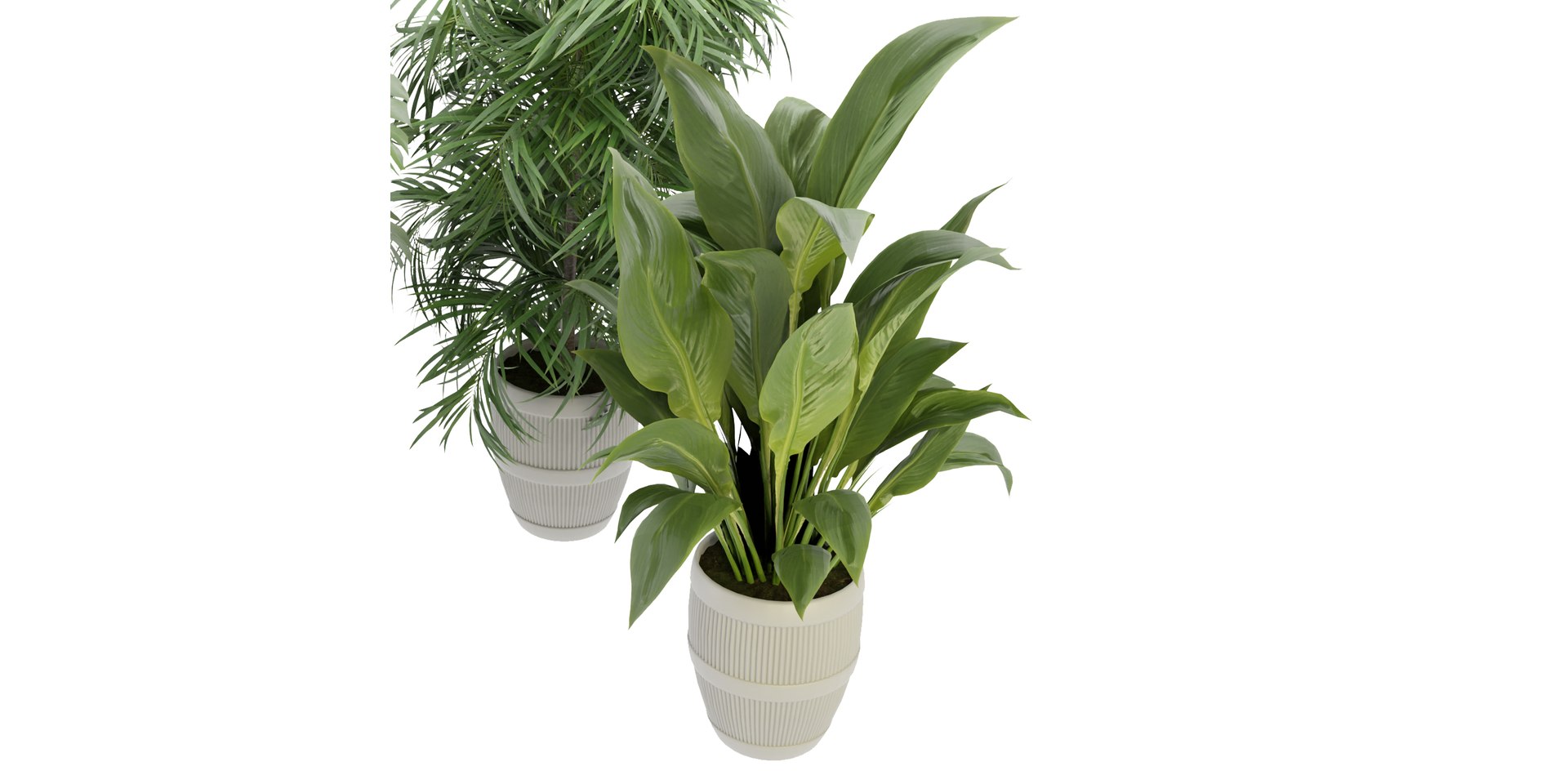 Collection plant vol 348 - blender model 3D - TurboSquid 2094277