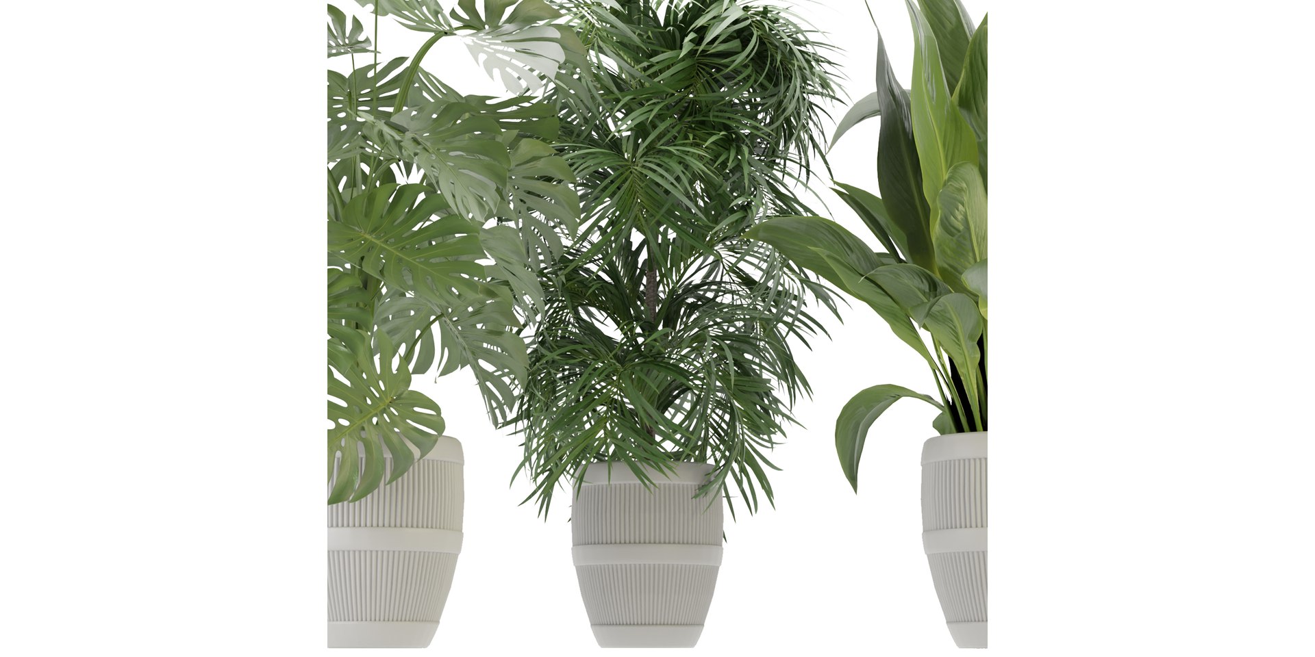 Collection plant vol 348 - blender model 3D - TurboSquid 2094277
