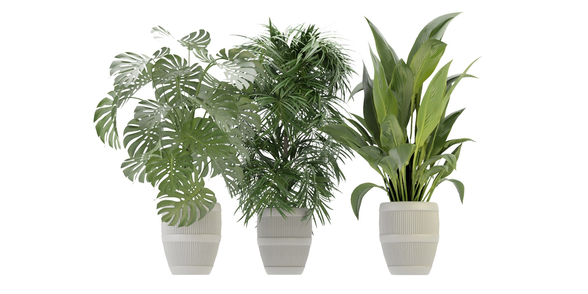 Collection plant vol 348 - blender model 3D - TurboSquid 2094277