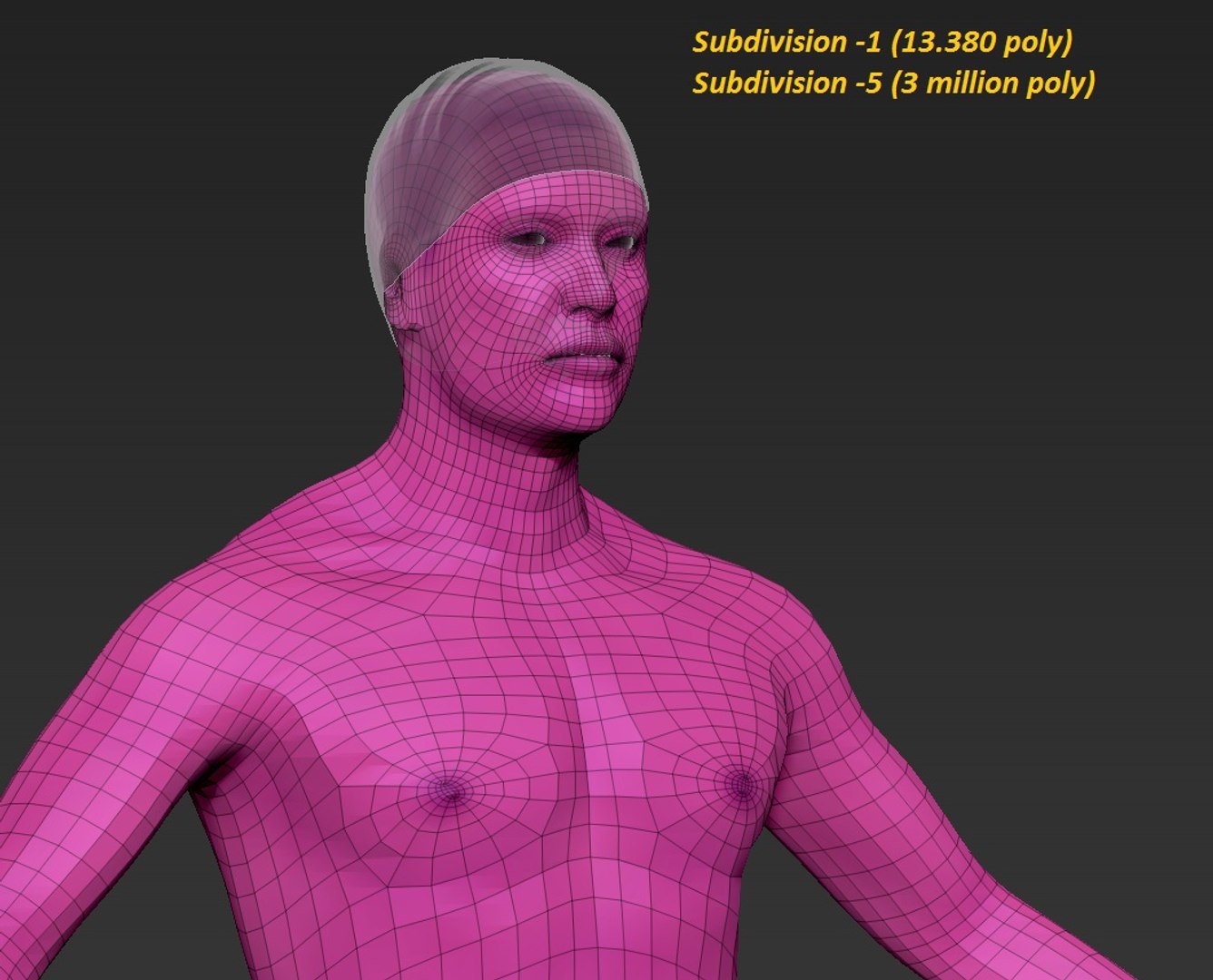 Male Swimmer 3d Model